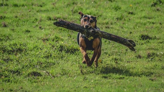 Data Fetching in Redux Made Easy With RTK Query